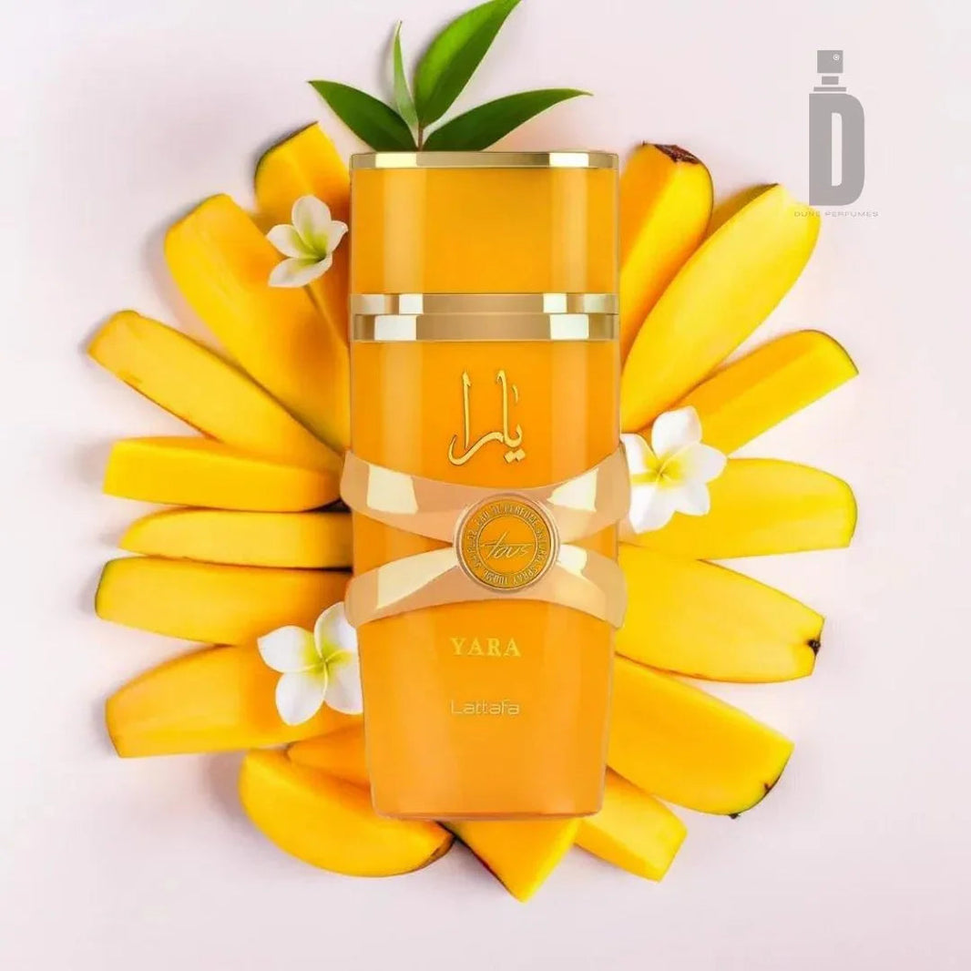 Lattafa – Dune Perfumes